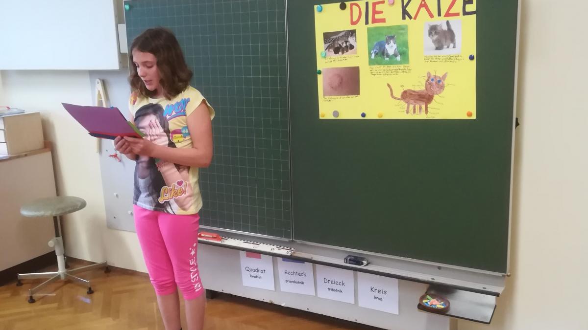 VS Globasnitz | LŠ Globasnica - Interessante Referate | Zanimivi referati